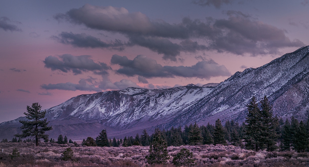 Home – Sierra Nevada Ally