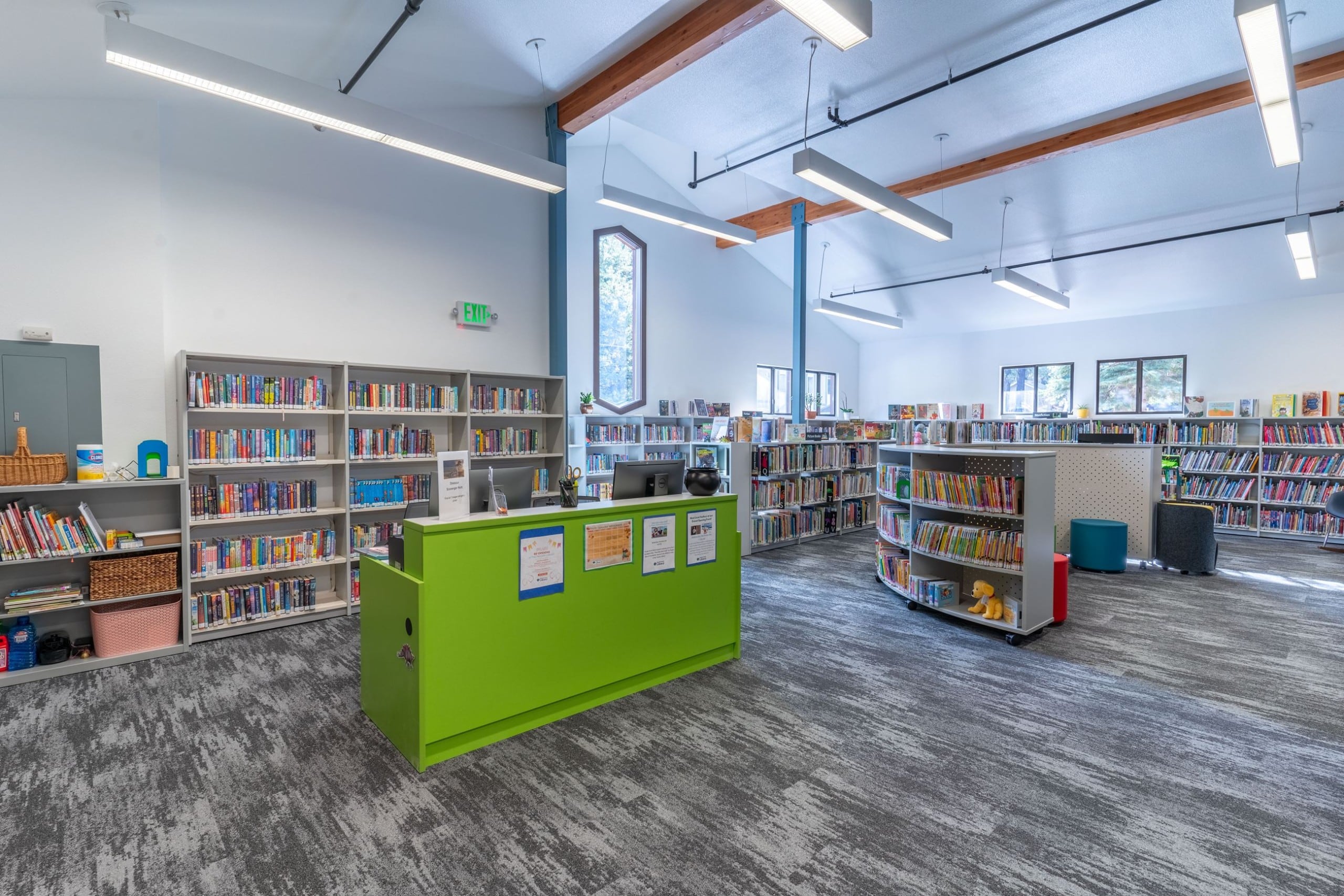 Ally Audio: What is the Future of Libraries? – Sierra Nevada Ally