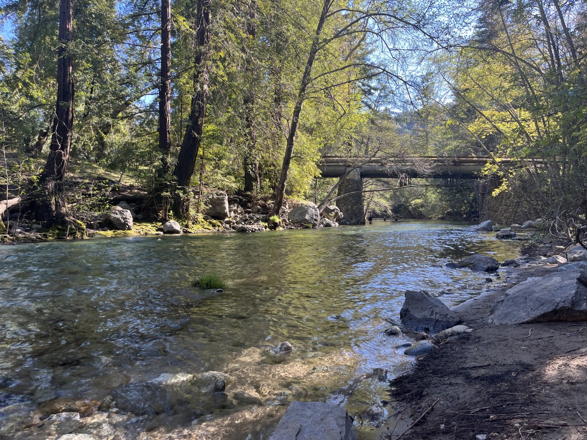 Field Notes From Visiting Pfeiffer Big Sur State Park – Sierra Nevada Ally