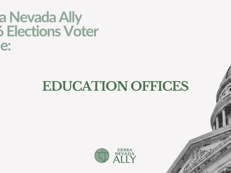 Education Races: Who’s Running for School Board, NSHE? – Sierra Nevada Ally